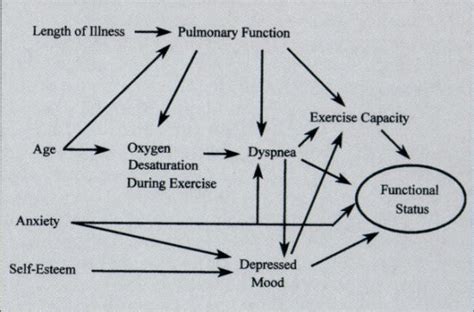 Proposed Explanatory Model For Functional Status In Copd To Finalize