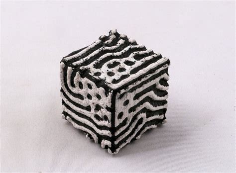 3d Printed Reaction Diffusion Cube By Taroh Zuo Pinshape