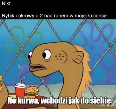 Rybik Najlepsze Memy Zdjęcia Y I Obrazki Kwejk Pl