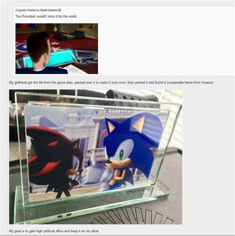 Best Girlfriend Sonic The Hedgehog Sonic Sonic Funny Hedgehog