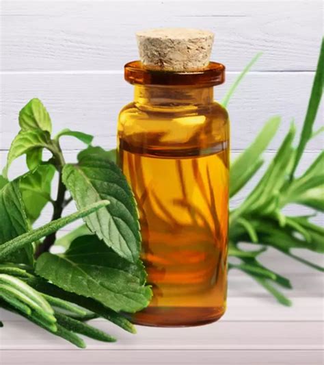 How To Use Tea Tree Oil For Toenail Fungus