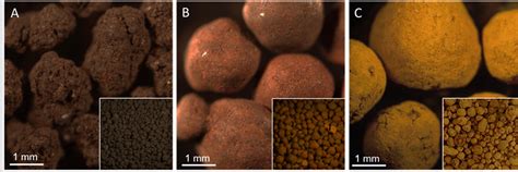 NASA Astrobiology Institute