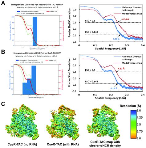 Figure S Validation Of Cryo Em Maps And Structural Models Related To