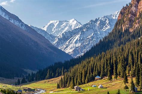 Integrate Integrated Forest Ecosystems Management Project