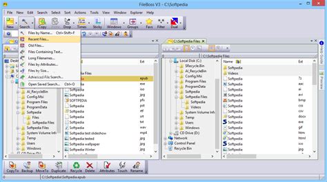 Fileboss Download Softpedia