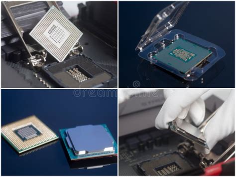 Installing CPU On Motherboard Computer Upgrade Stock Photo Image Of Mother Finger 115829514