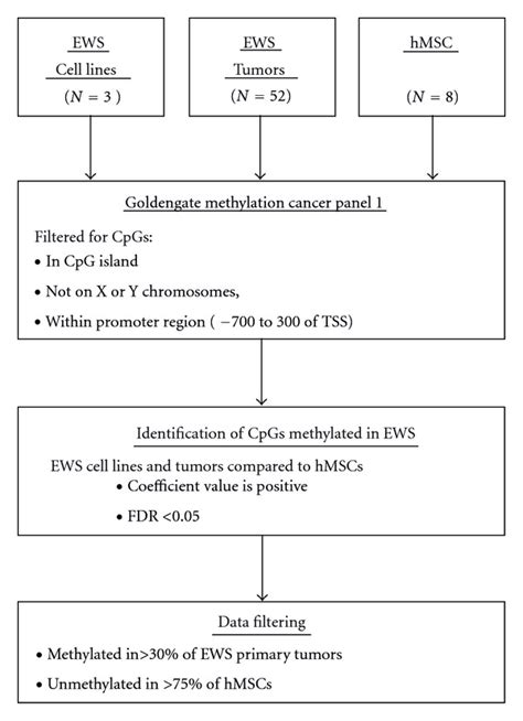 Flow Chart Describing Workflow Of Dna Methylation Analysis Download