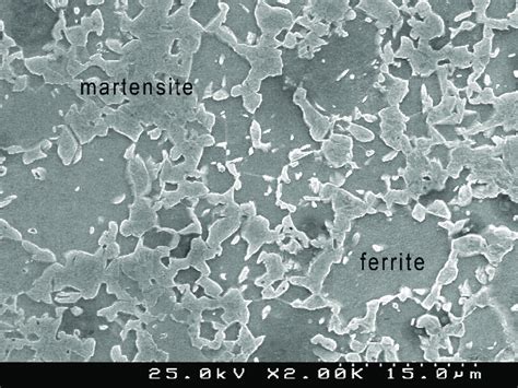 Microstructure Observation Of Dual Phase Dp1000 Steel Used Download Scientific Diagram