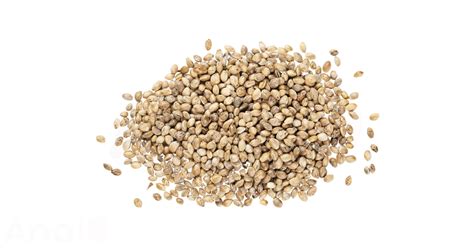 Hemp Seed Nutrition Facts Calories And Top 11 Health Benefits