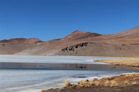 Salar De Maricunga En La Mira De La Industria Del Litio Es Como Saber Que Te Van A Matar Y Que
