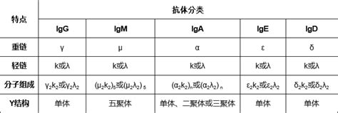 抗体基础知识介绍 知乎