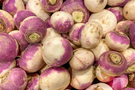 Turnips Varieties At Claire Hawes Blog