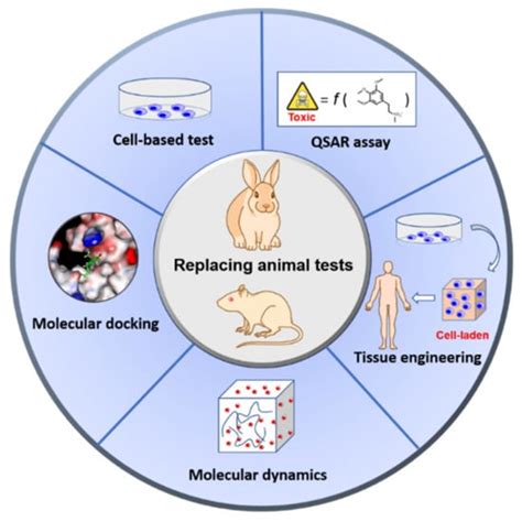 Ijms Free Full Text Current Strategies In Assessment Of Nanotoxicity Alternatives To In