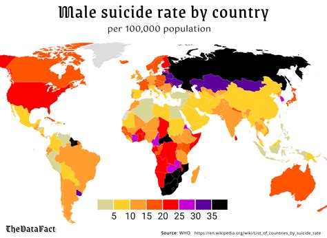 Highest Suicide Rate By Age Group