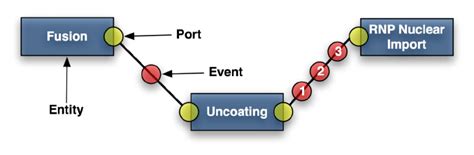 1 A Schematic Representation Of The Simjava Components Entity Port