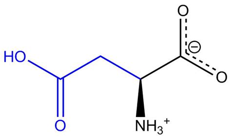 What Is The Difference Between Aspartate And Aspartic Acid Pediaacom
