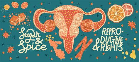 Reproductive Rights Archives Legal News Blog 310 396 7714