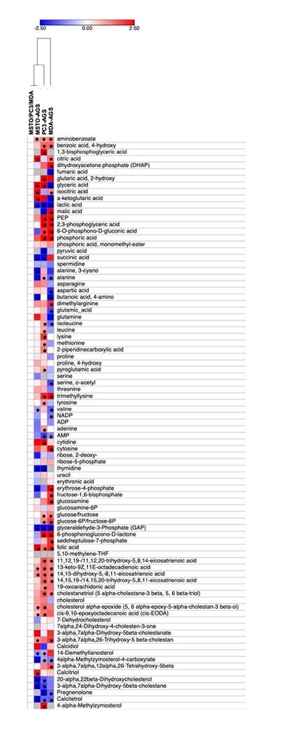 hierarchical clustering hcl of targeted metabolome of ags treated