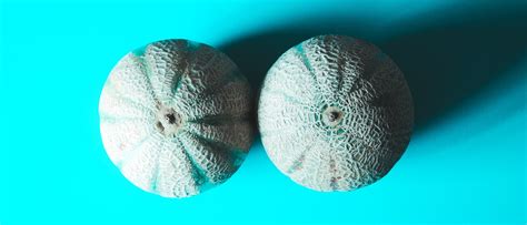 Weird Facts About Sex You Probably Never Knew