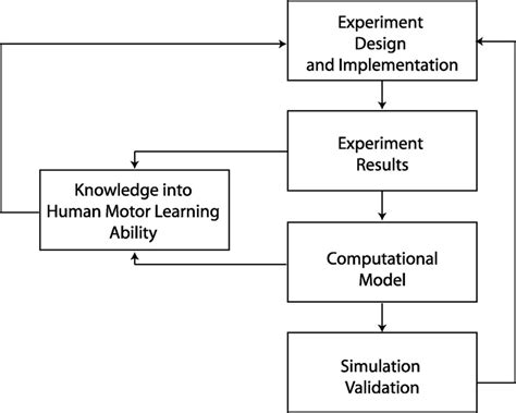 Overview Of The Procedure Used To Construct Computational Models Of