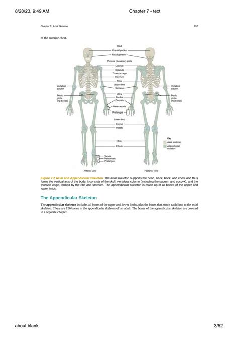 SOLUTION Chapter Axial Skeleton Studypool