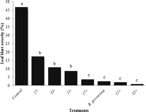 The Severity Of Leaf Blast According To The Scale Of Notes Columns