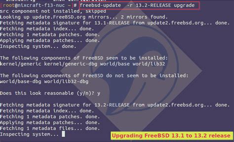 Freebsd