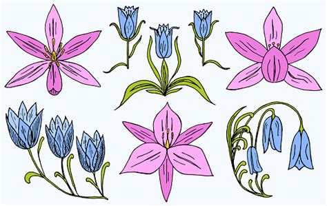 나뭇잎과 야생 꽃입니다 잎과 싹이 있는 결혼식 식물성 식물의 집합입니다 식물성 유기농 봄 허브 낙서 스케치에서 그려진 손으로