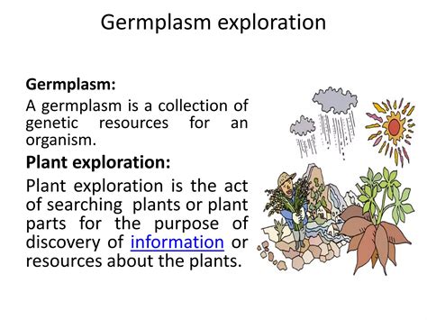 Plant Exploration Germplasm Collection Conservation And Utilization Pptx