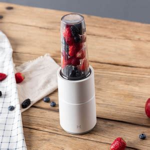 Блендер Xiaomi Pinlo Little Monster Cooking Machine White (YM-B03/B04 ...