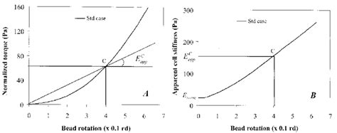 simulated nonlinear elastic response of the adherent epithelial cells