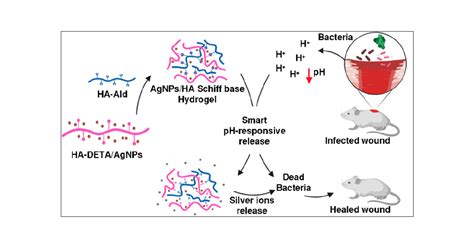 Schiff Base Based Hydrogel Embedded With In Situ Generated Silver Nanoparticles Capped By A