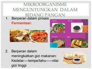 Pengertian Dan Konsep Mikrobiologi Gizi PPTX