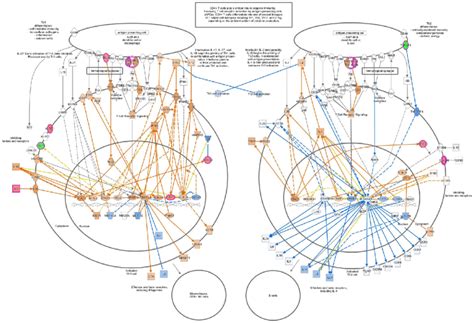Predictive Target Genes And Associated Th1th2 Immuno Regulation