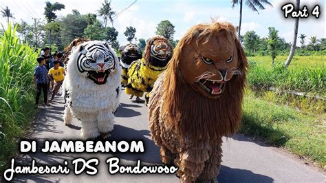 KIRAB CAN MACANAN SINGO MANGGALA DAN DRUMBAND MAONG REMAS DI JAMBEANOM PART Mp YouTube