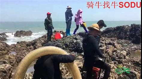 渔戈兄弟 小明带网友赶海用三台抽水机抽干岛上大水池 生活 户外休闲 好看视频