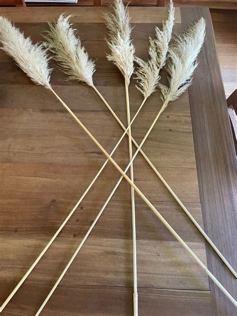 Set pampa grass Vende y compra artículos de segunda mano