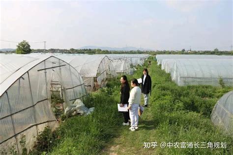 南京市桠溪都市现代农业产业示范园区建设总体规划初期调研完成 知乎