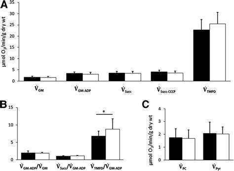 Mitochondrial Respiratory Capacity In Saponin Skinned Fibers Of The