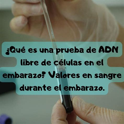 ¿qué Es Una Prueba De Adn Libre De Células En El Embarazo