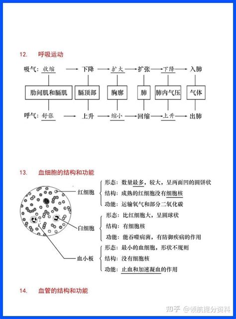 初中生物识图题超全版 答题模板1 知乎