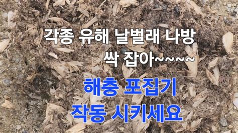 각종 유해 나방 날 벌레 친환경 방제 해충 포집기 Youtube