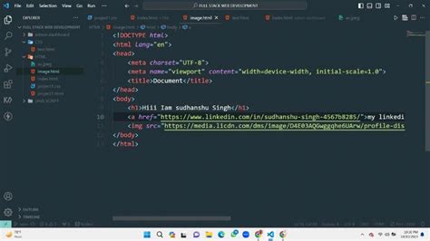 sudhanshu singh on linkedin html webdevelopment codingchallenge