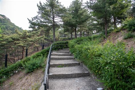 청와대 뒷산 북악산 등산코스 서울등산 초보코스 춘추관 칠궁 네이버 블로그
