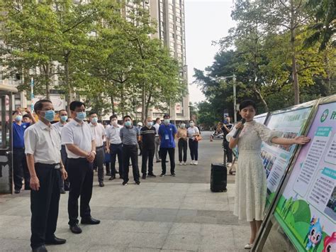 垃圾分类从我做起！我市积极探索生活垃圾分类“柳州模式”澎湃号·媒体澎湃新闻 The Paper