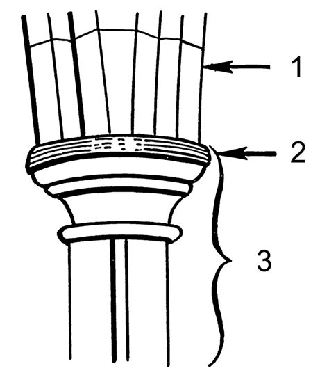 Engineering Impost Architecture Handwiki