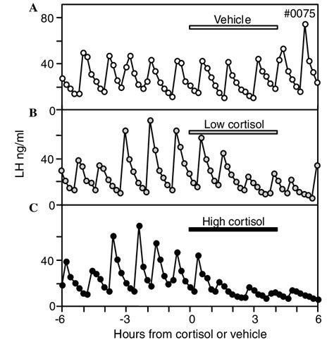 Exogenous Cortisol Inhibits Pulsatile Lh Secretion Lh Pulse Patterns Download Scientific