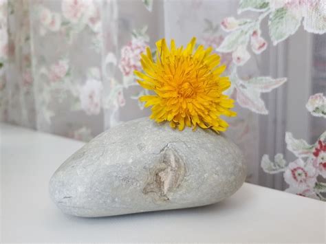 Лёгкая смерть