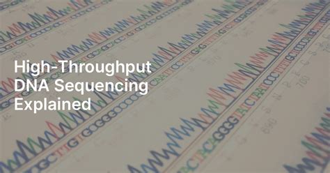 High Throughput Dna Sequencing Explained