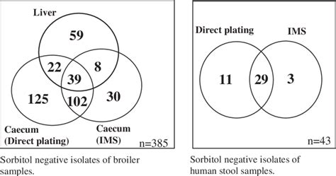 Distribution Of Sorbitol Negative Isolates Obtained From Broilers And